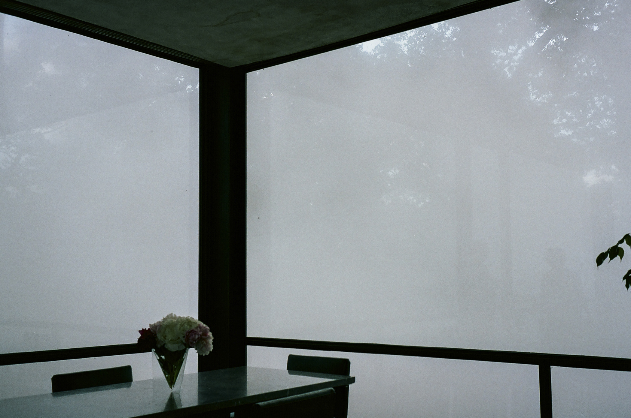 picture 86 – MATTHEW PLACEK